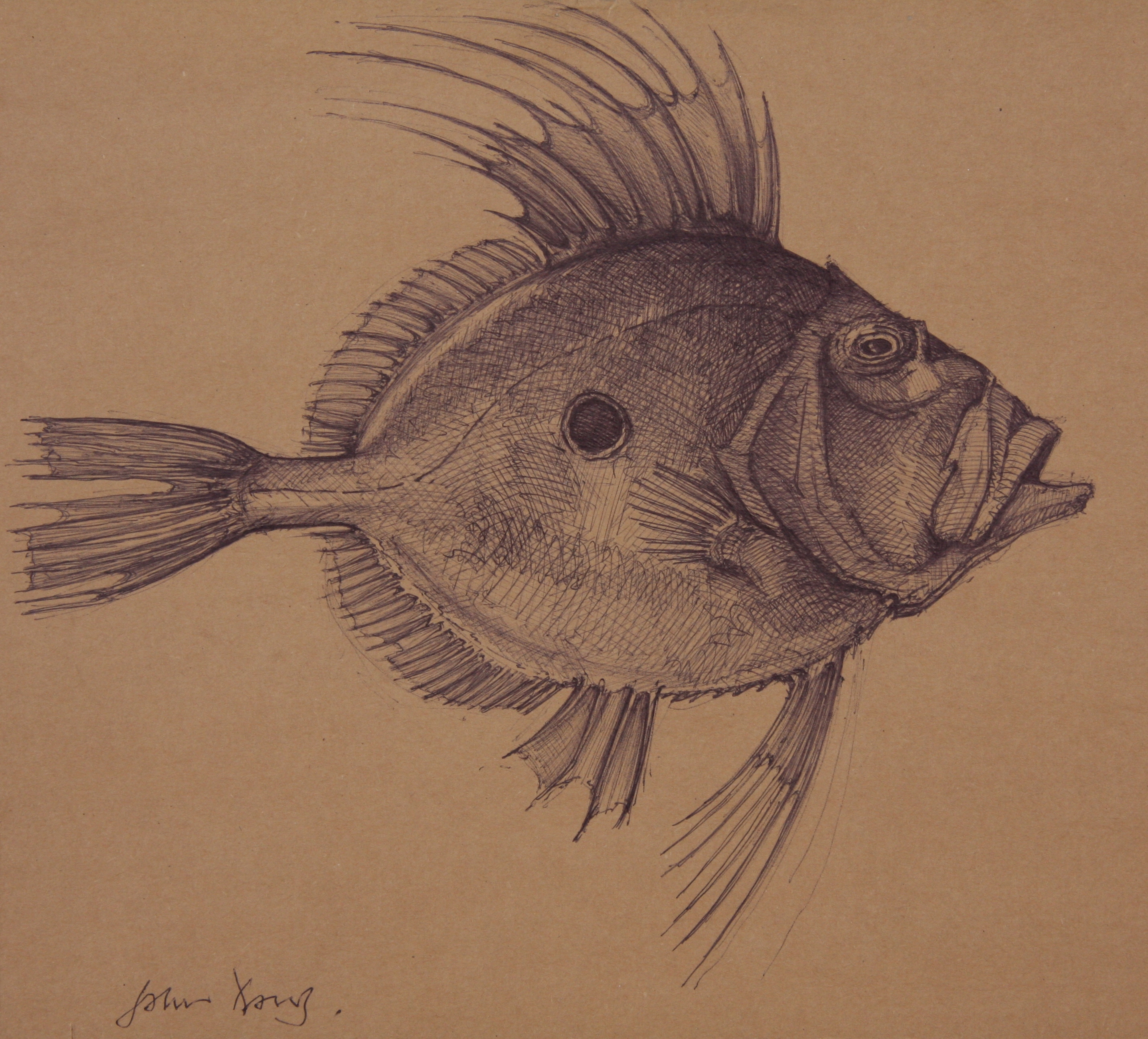 Prints | Ian Shearman