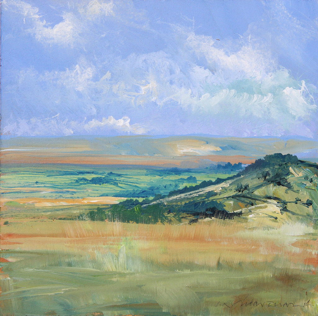 From Rodborough Common June 14 7×7 inches | Ian Shearman