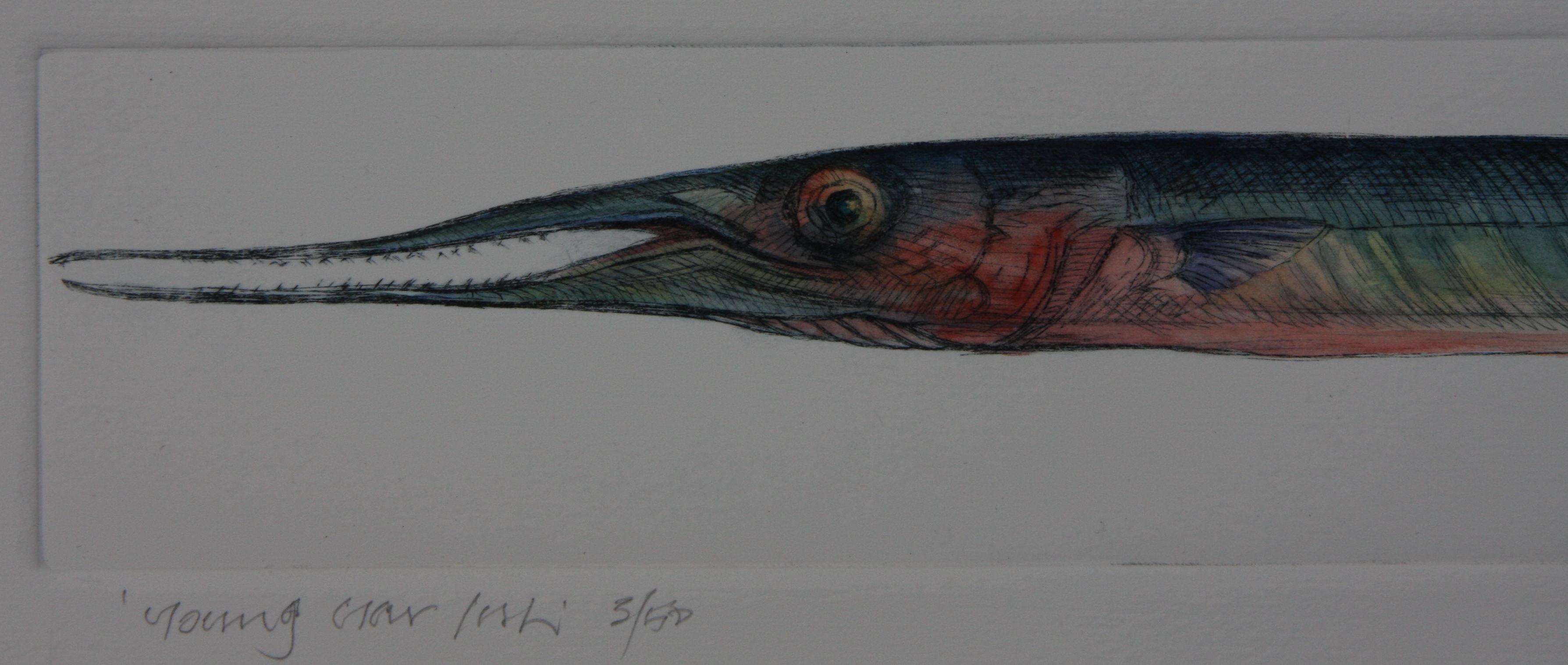 Prints | Ian Shearman