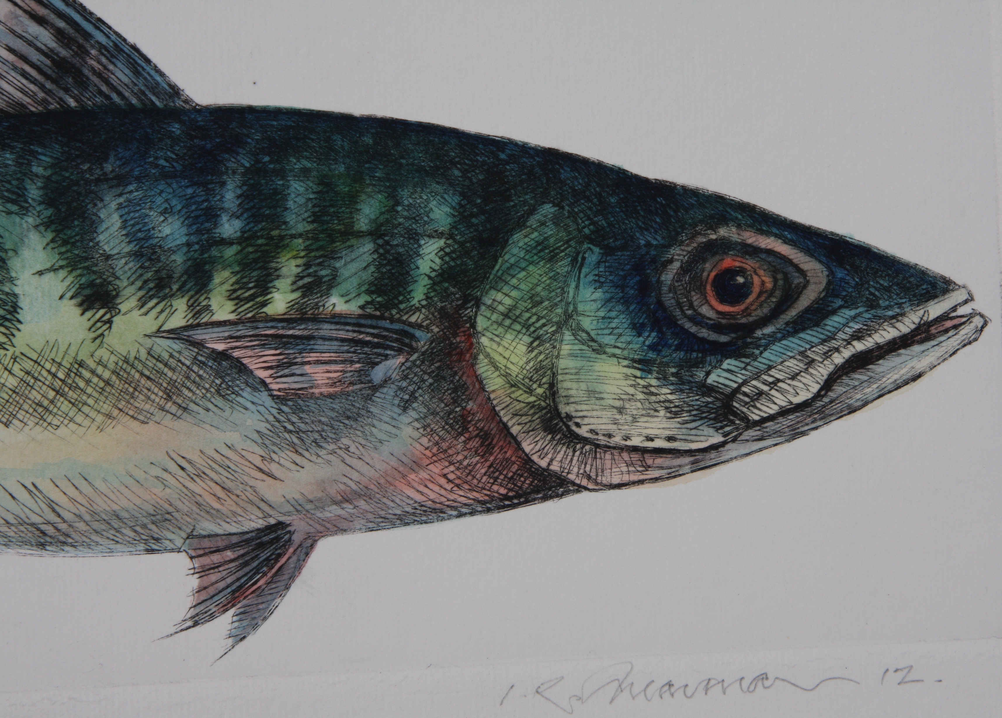 Prints | Ian Shearman