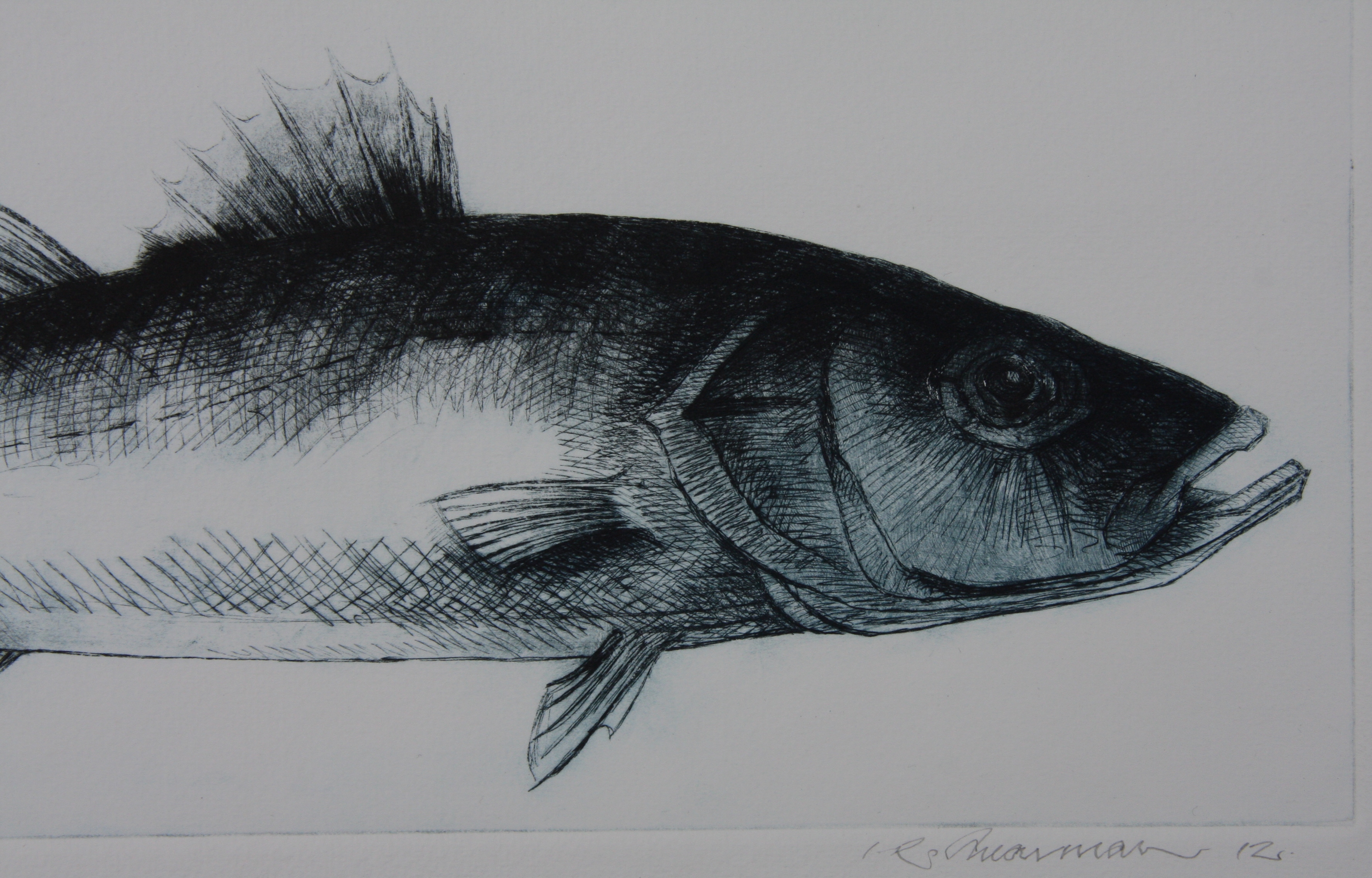 Prints | Ian Shearman