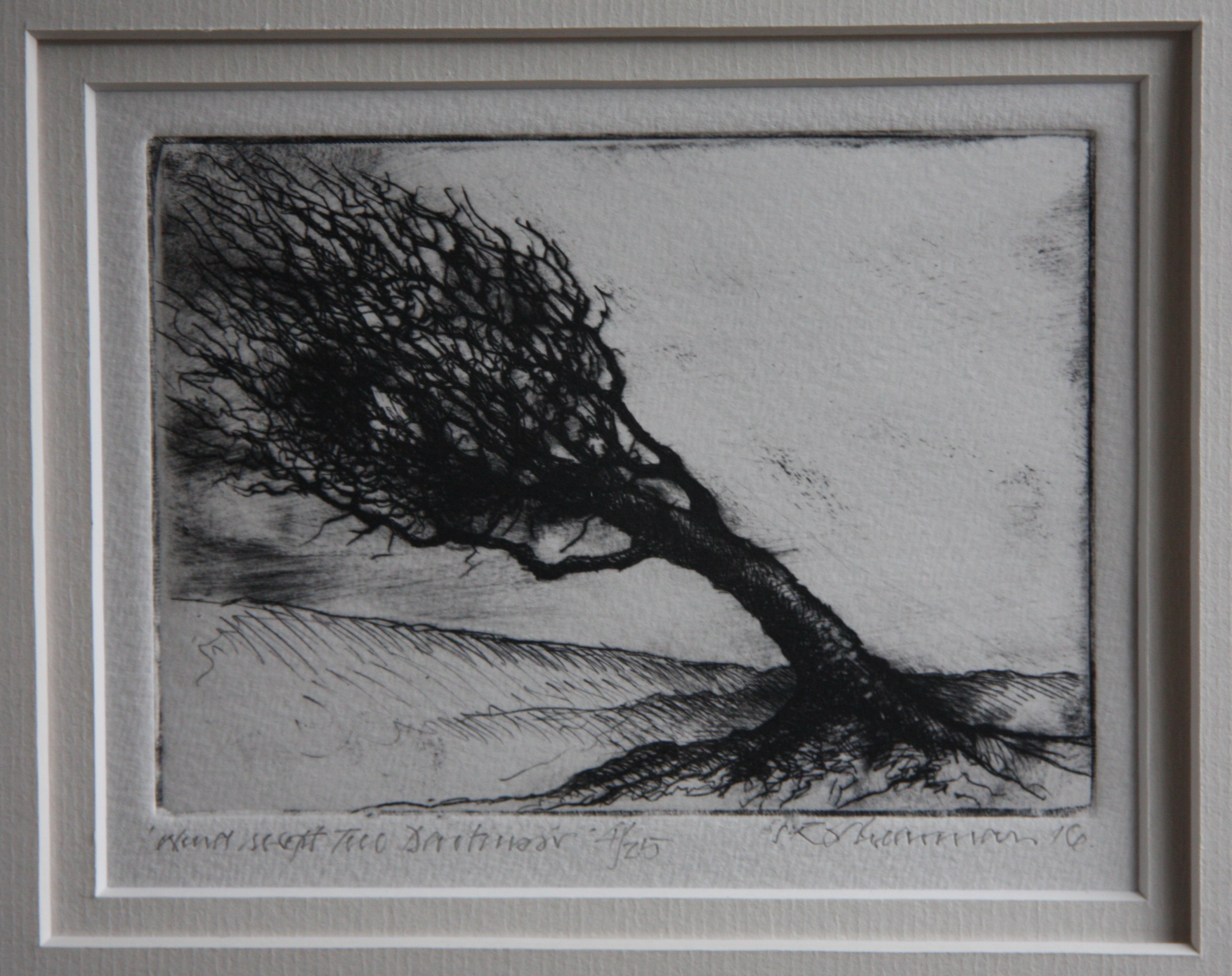 Prints | Ian Shearman